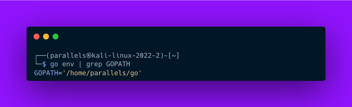 Getting Started with ProjectDiscovery in Linux and Windows ...